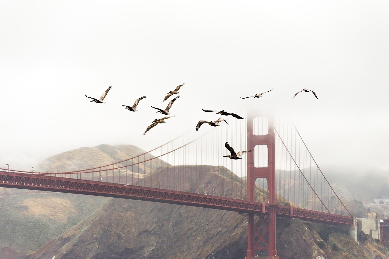 El puente Golden Gate: ¿cómo y cuándo se construyó? - Ingeoexpert